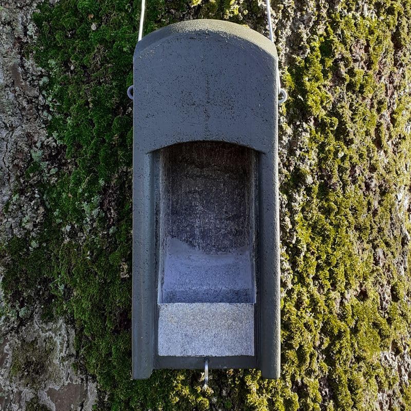 Fledermaus-Kuppelhöhle aus Holzbeton | Wetterfest | Fledermausquartier – techstudio.ch