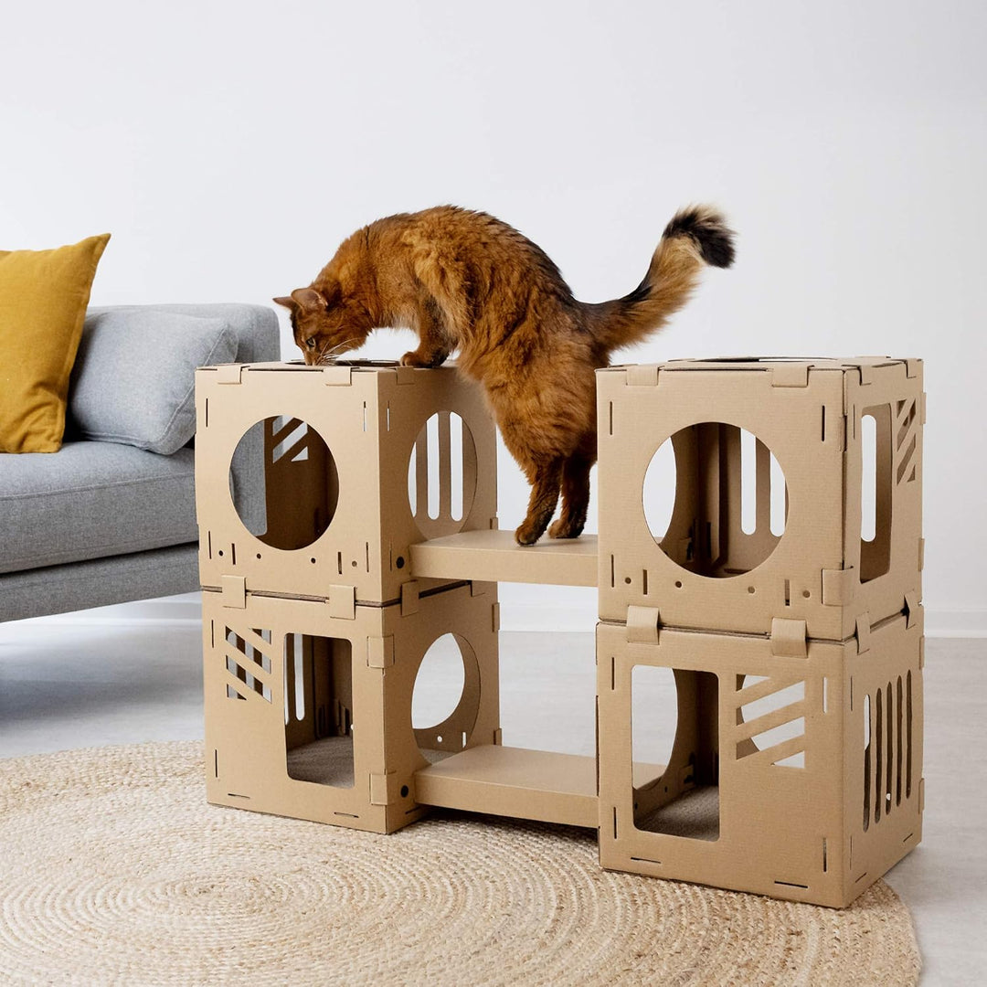 Katzenhaus Aus Karton