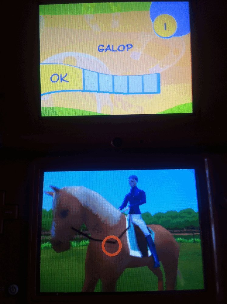 ALEXANDRA LEDERMANN 2, Mon Aventure au Haras by UBI Soft – techstudio.ch