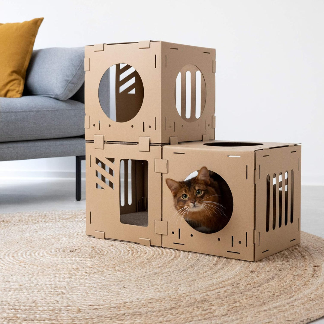 Katzenhaus Aus Karton